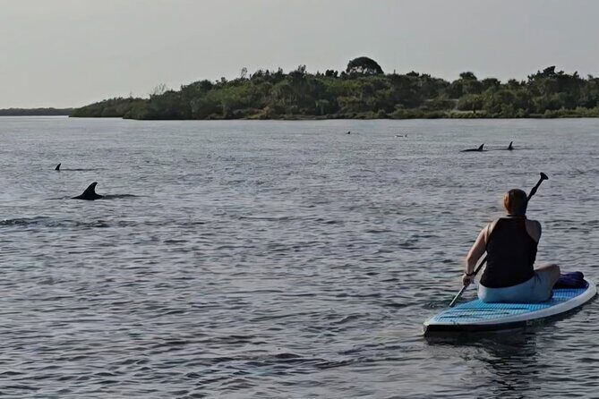 Paddle With Native Wildlife - Discovering the Indian River Waterway