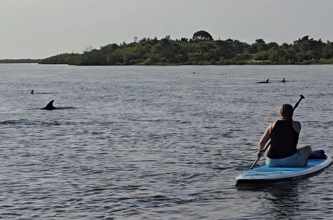 Paddle With Native Wildlife - The Value of the Experience