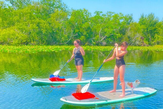 Paddle with Pups in Paradise - Paddleboard or Kayak - An In-Depth Look at the Tour Experience
