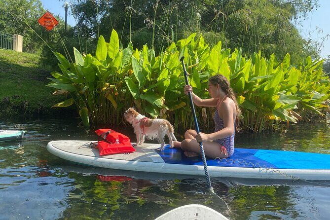 Paddle with Pups in Paradise - Paddleboard or Kayak - Final Thoughts