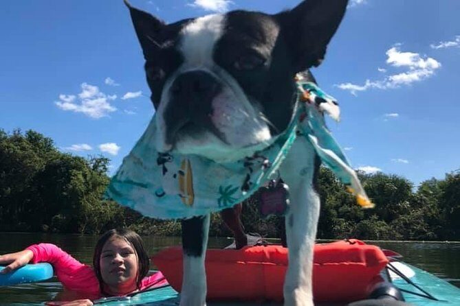 Paddle with Pups in Paradise - Paddleboard or Kayak - FAQ