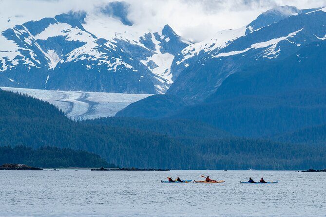Paddle with Whales Kayak Adventure Juneau - An Honest Look at the Paddle with Whales Kayak Adventure