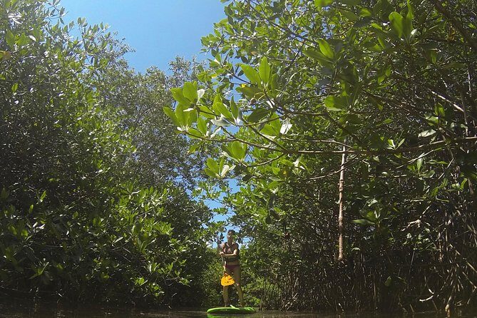 Paddleboard Cenote Tour - Why This Tour Offers Great Value