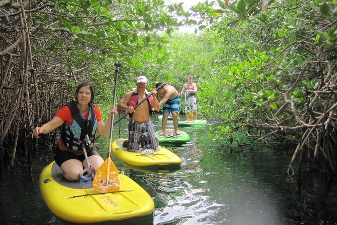 Paddleboard Cenote Tour - The Sum Up