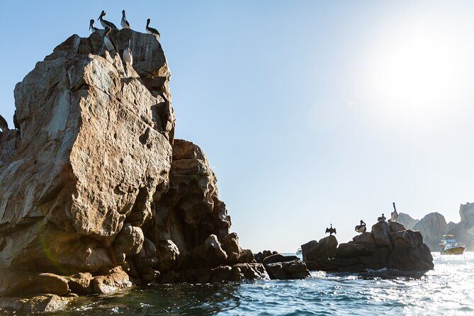 Paddleboard Expedition to the Arch of Cabo San Lucas, Lovers Beach & Snorkel - Final Thoughts: Is This Tour for You?