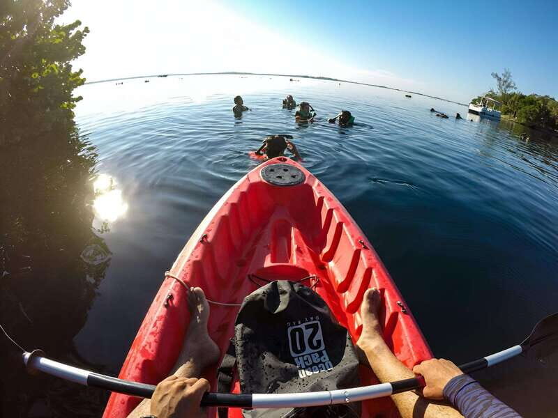 Paddleboard or kayak sunrise tour in Bacalar lagoon - Key Points
