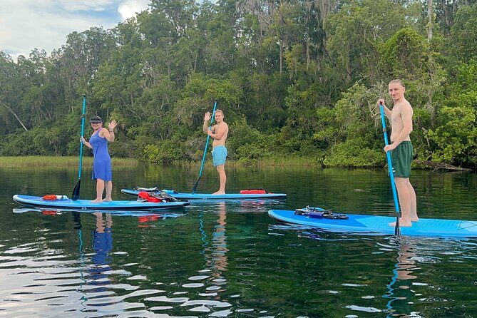 Paddleboard Rental  Three Sisters Springs & Manatee Refuge - What You Can Expect