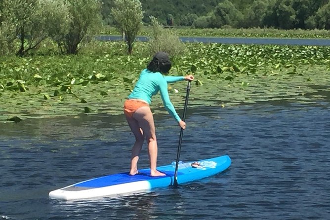 Paddleboard (SUP) Tour on Crnojevic River to Skadar Lake - The Sum Up