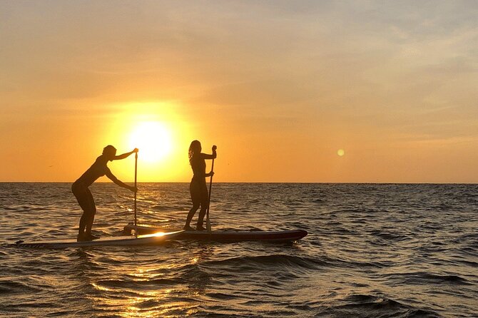 Paddleboard Tour - Tour Inclusions and Requirements