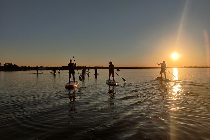 Paddleboarding in Dublin - The Instructor and Equipment: What You’re Getting