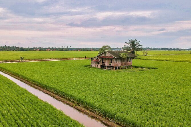 Paddy Field and Fishing Tour in Tanjong Karang - Key Points