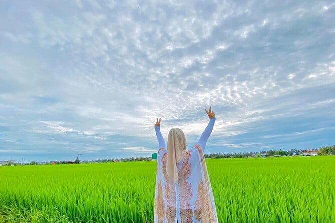 Paddy Field Experience with Real Agricultural Activities - Key Points