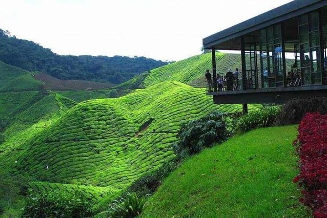 Paddy Field Experience with Real Agricultural Activities - Who Will Enjoy This Tour?