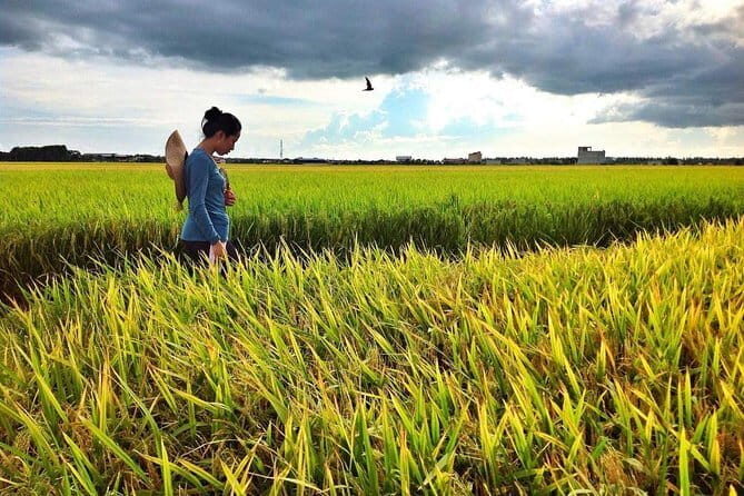 Paddy Field, Fishing And Fireflies Tour - Key Points
