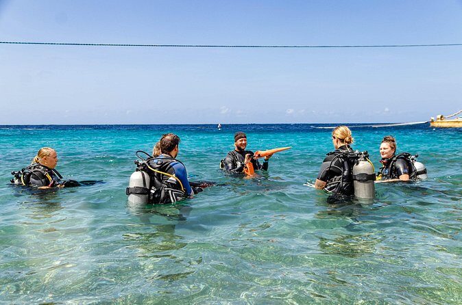 PADI Advanced Open Water Course in 2 days Including Night Dive - The Price and Value