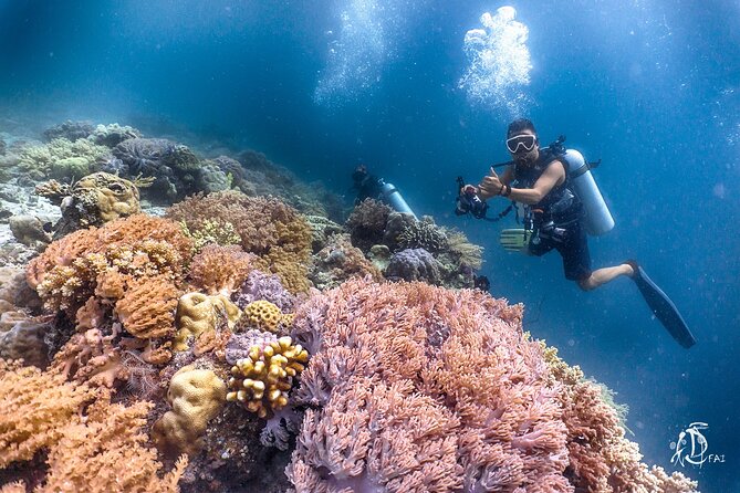 PADI Advanced Open Water Course Kota Kinabalu - The Dive Center and Its Location