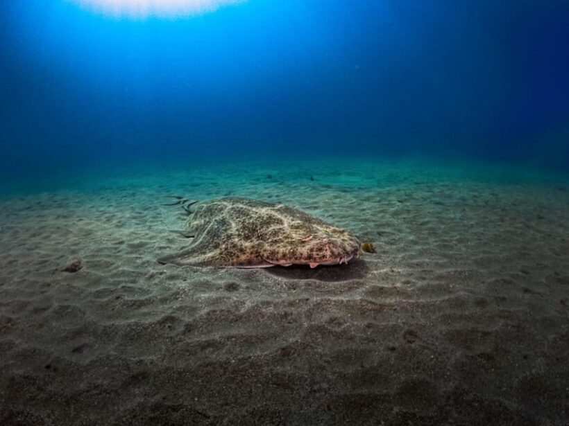 PADI ADVANCED OPEN WATER DIVER - A Closer Look at the Course Experience