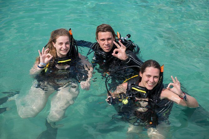 PADI Discover Scuba Dive at 5 Star Dive Center Blue Bay Dive, Curacao - The Real Stories: What Participants Say