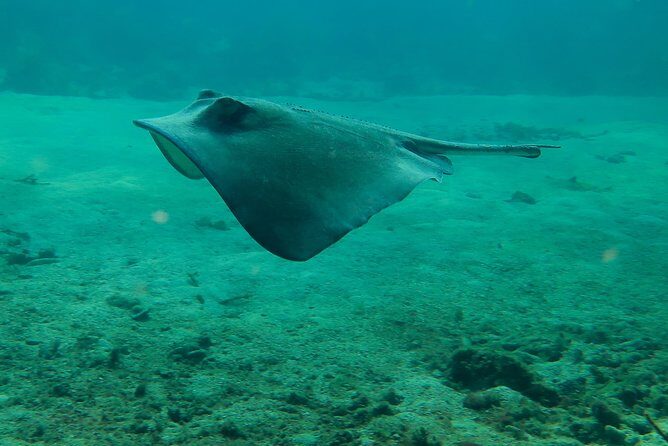 PADI Discover Scuba Diving - Booking and Cancellation Flexibility