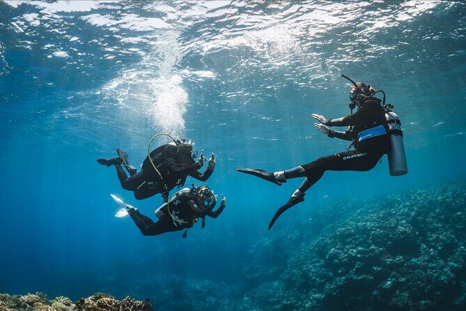 PADI Discover Scuba Diving - An In-Depth Look at the Discover Scuba Experience in Waikiki