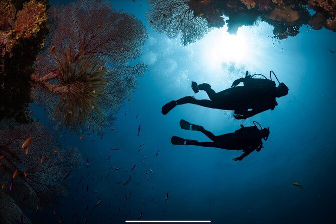 PADI Discover Scuba Diving - Authentic Experiences and Traveler Insights