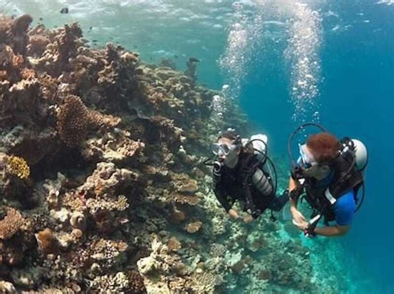 PADI Discover Scuba Diving: at Hol Chan Marine Reserve - Who Will Enjoy This Experience?