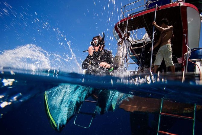 PADI Discover Scuba Diving Experience Full Day Trip - What’s Included and What’s Not?