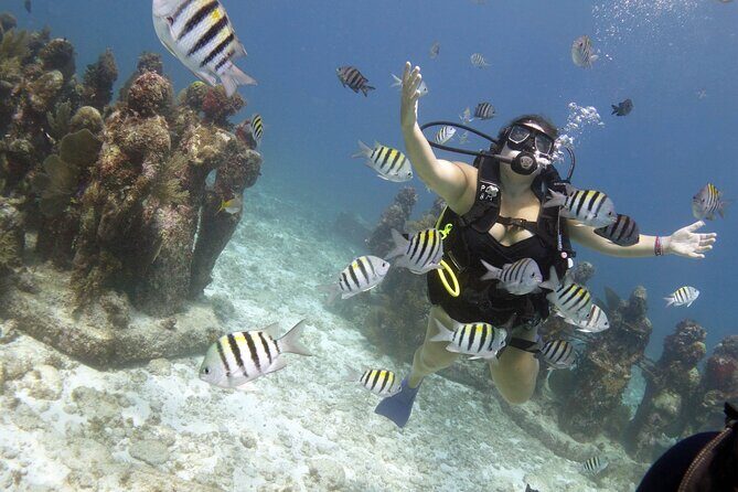 PADI Discover Scuba Diving for divers without certification - Frequently Asked Questions (FAQs)