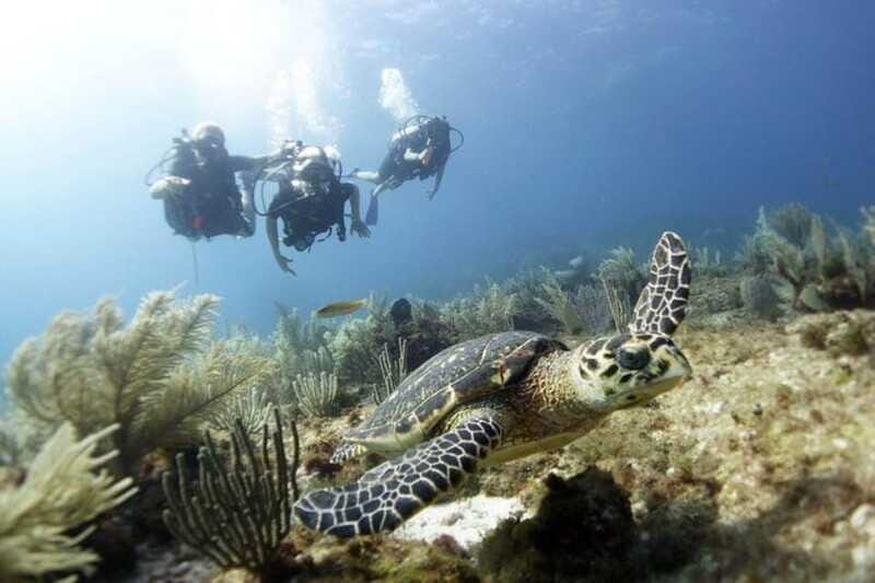 PADI Discover Scuba Diving for divers without certification - The Experience’s Highlights in Detail