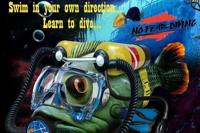 Padi Discover Scuba Diving In Amed Bali - Practical Details
