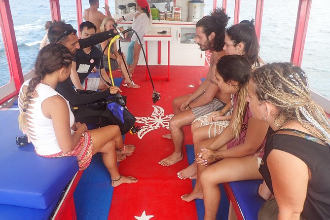 PADI Discover Scuba Diving in Koh Tao - half day and two dives - Practical Details That Matter