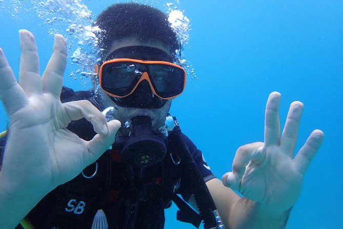 PADI Discover Scuba Diving in Koh Tao - half day and two dives - Who Should Consider This Tour?
