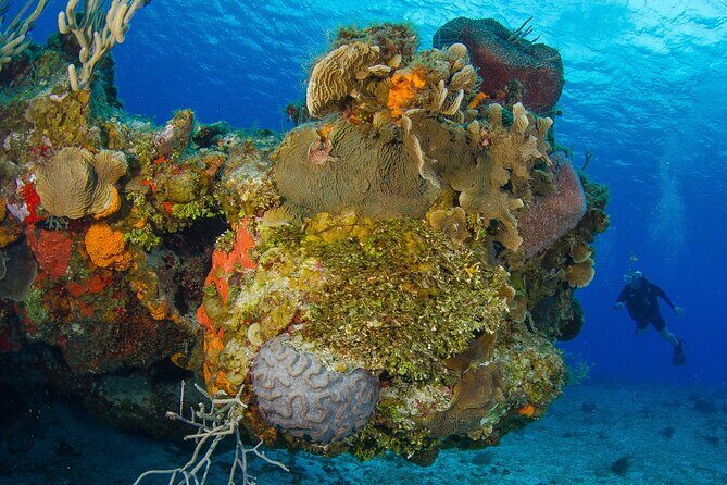 PADI Discover Scuba Diving Program in the Riviera Maya - What You’ll Receive