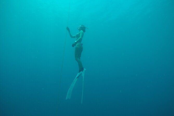 PADI Freediver Course - Who Should Consider This Course?