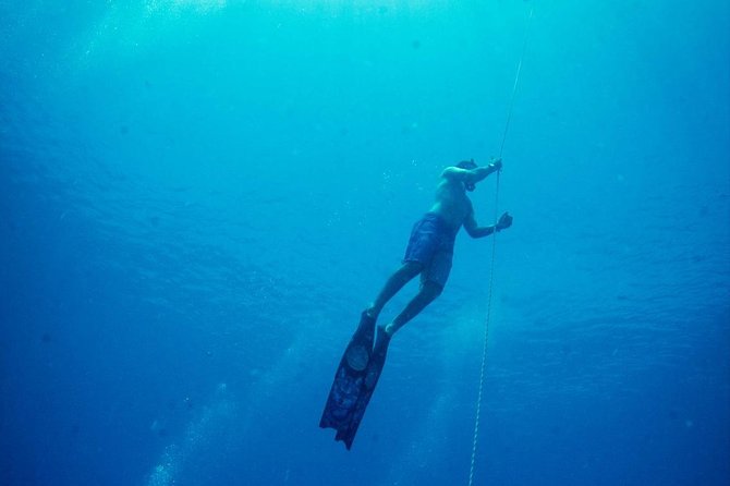 Padi Freediver, learn how to freedive and get your first license (at Koh Chang) - The Sum Up