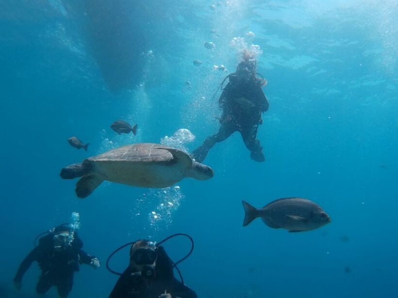 PADI Open Water Course in 3 Days - An In-Depth Look at the PADI Open Water Course in Tenerife