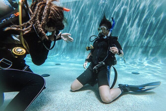 PADI Open Water Course in Cabo San Lucas - What to Expect from the PADI Open Water Course in Cabo San Lucas