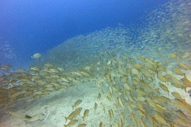 PADI Open Water Course in Costa Adeje - Course Duration and Certification