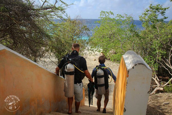 PADI Open Water Course in Curacao - Why Choose the PADI Open Water Course in Curacao?