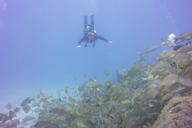 PADI Open Water Diver Course - Meeting and Pickup Options