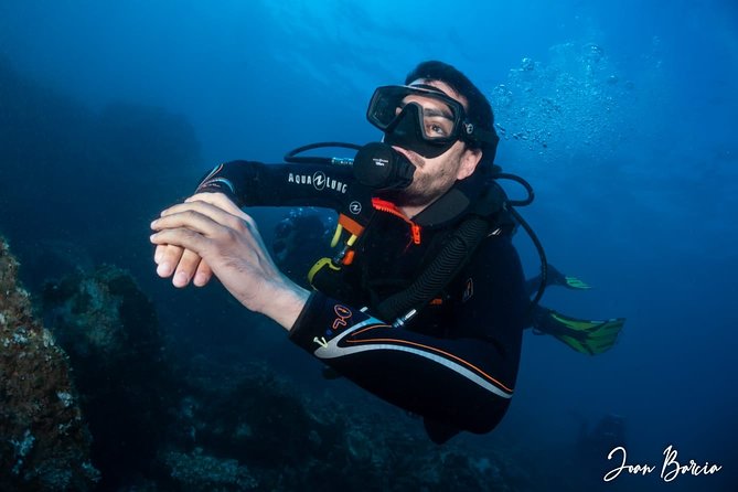 PADI Open Water Diver Course - Detailed Course Inclusions and Equipment Provided