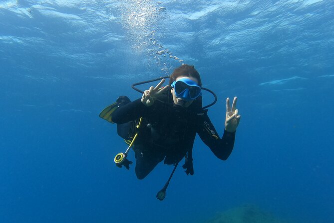 PADI Open Water Scuba Diving Certification Puerto Colon - Introduction: A Complete Dive Into Tenerife’s Underwater World