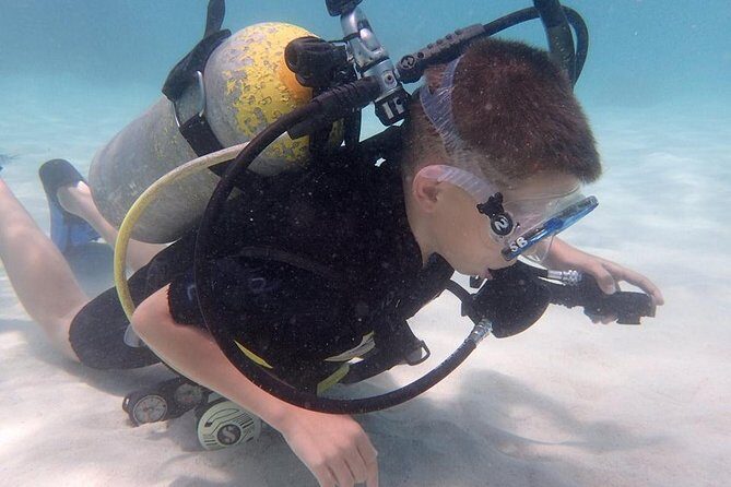 PADI Scuba Diver course for beginners Two days one night accommodation included - Why This Tour Excels: The Highlights