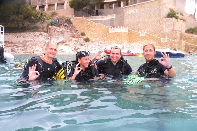 PADI Scuba Diver Course in Puerto de Mogan - What to Expect from the PADI Scuba Diver Course