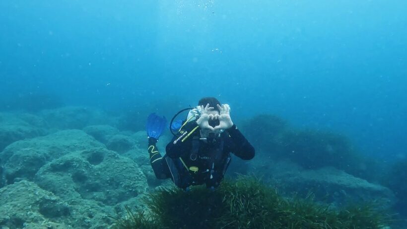 PADI Scuba Diving Program for Beginners in Peloponesse - Authentic Reviews and Insights