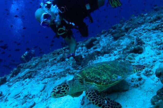 PADI Scuba Lesson and Shore Dive in Maui - What to Expect: From Land to Underwater Wonder