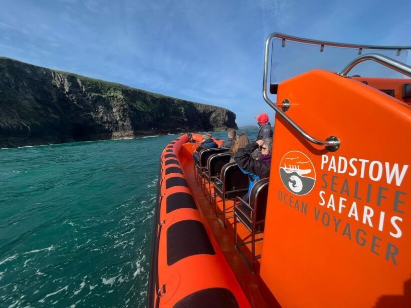 Padstow: Guided RIB Sealife Safari - Frequently Asked Questions