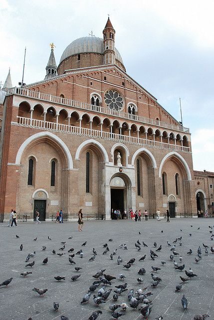Padua City 2.5-Hour Walking Tour - Price and Value