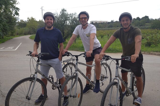 Paella Class, Winery and Bike Ride With Hotel Pickup From Sitges - Pricing and Booking