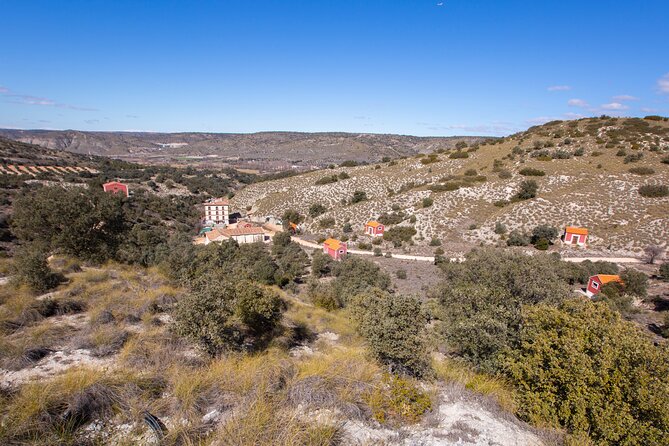 Paella, Olive Oil, Wine & Relax in Rural Estate outside Madrid - The Perfect Ending: Paella, Wine, and a Touch of Local Artistry